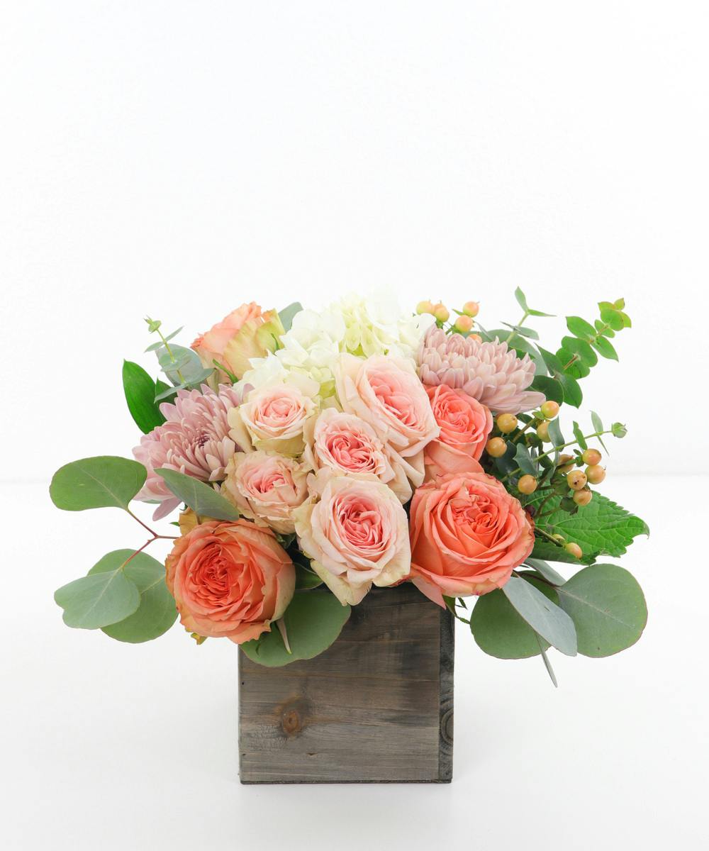 Feeling Peachy - Garden Roses, Hydrangea, Florist Escondido CA